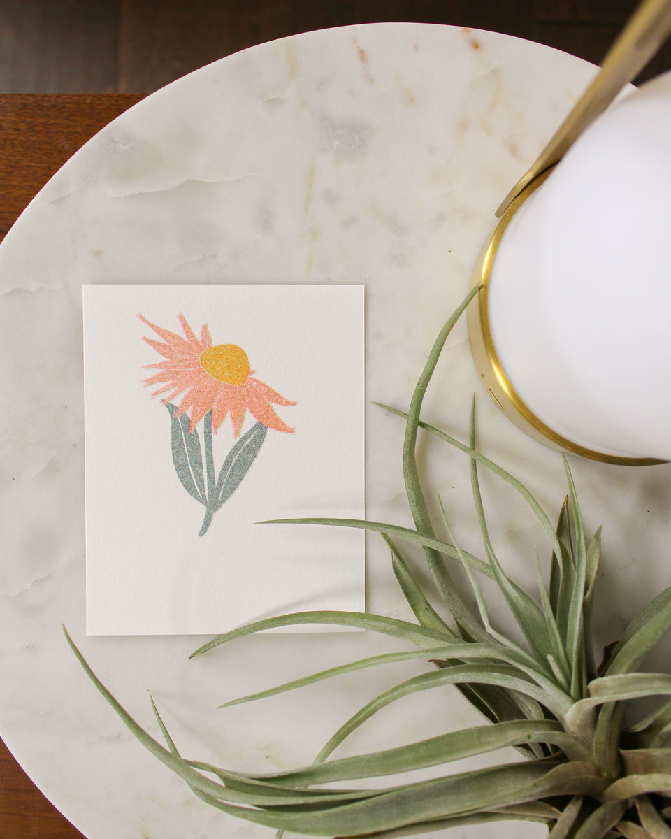 Coneflower • Echinacea • Risograph Print – HEMLEVA
